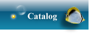 AZOO BIO CORPORATION | AZOO BIO CORPORATION
